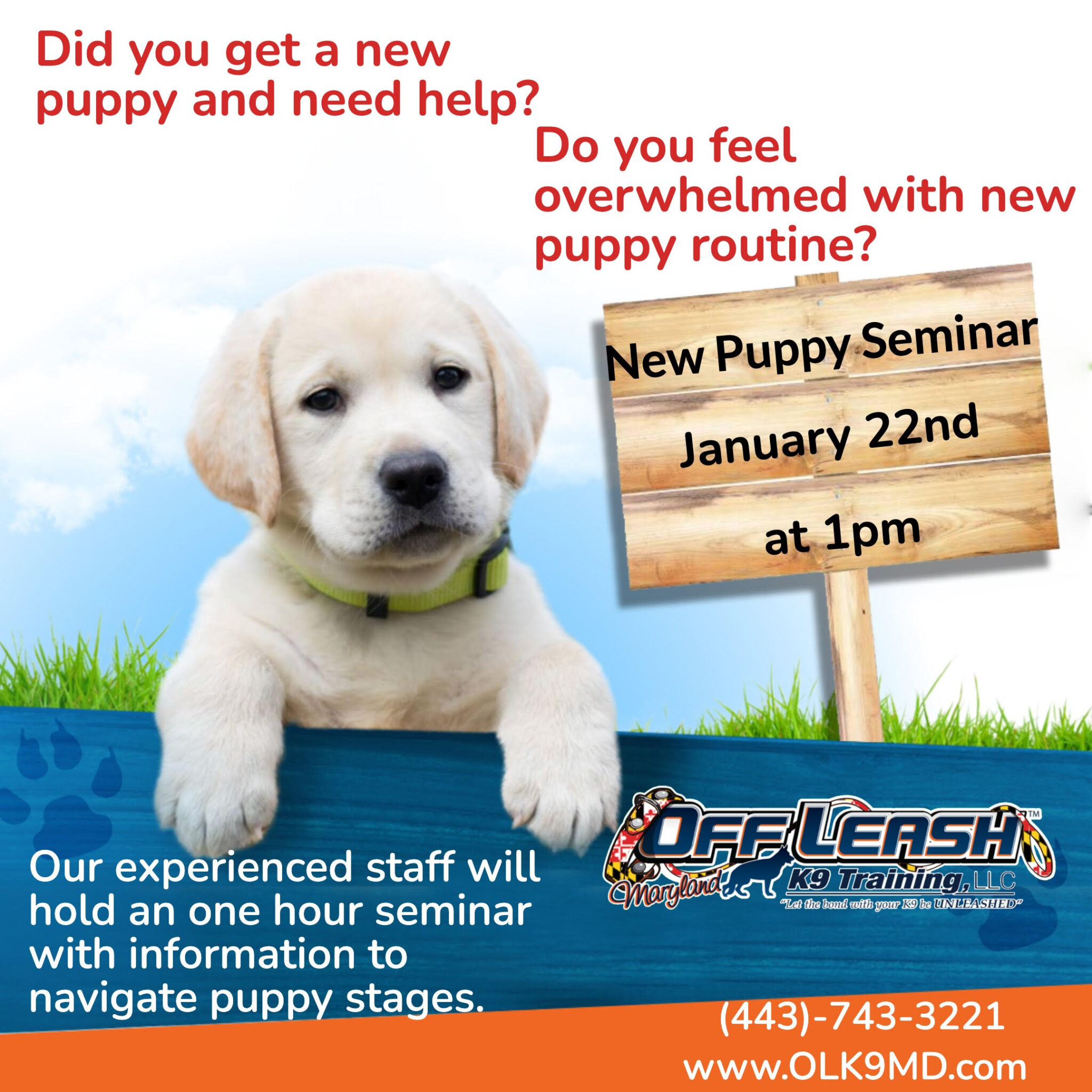 Off Leash K9 Training Maryland – Dog Obedience Trainers