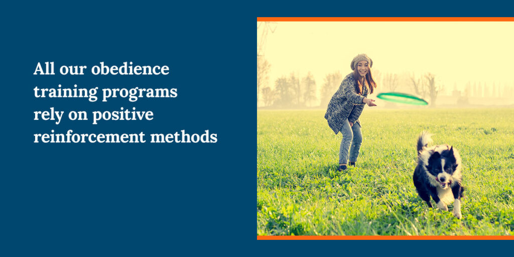 What Dog Training Program is Best for Your Dog? | OLK9MD